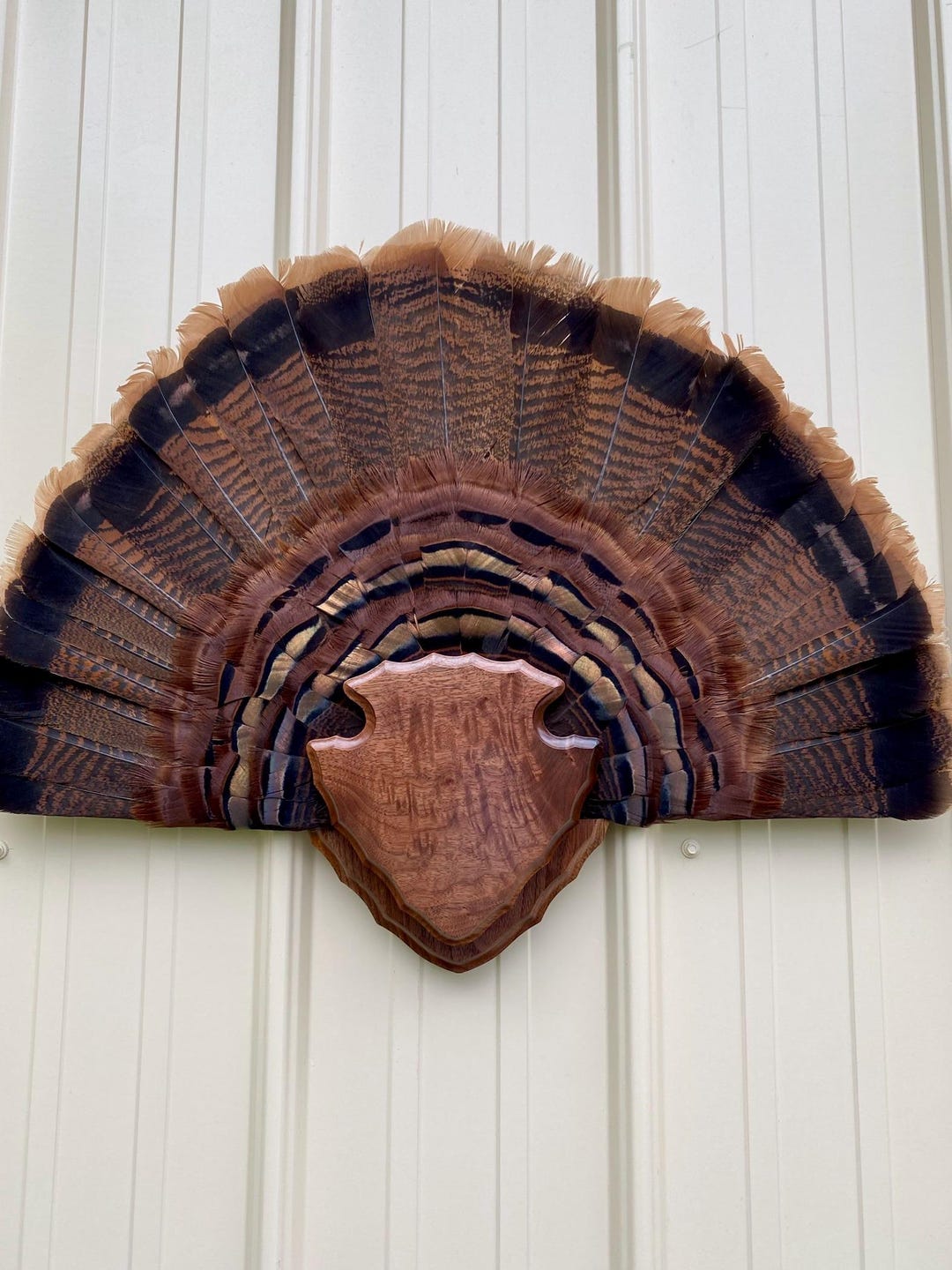 Your Choice, Premium Figured Walnut Turkey Fan Mount Plaques, Arrowhead ...