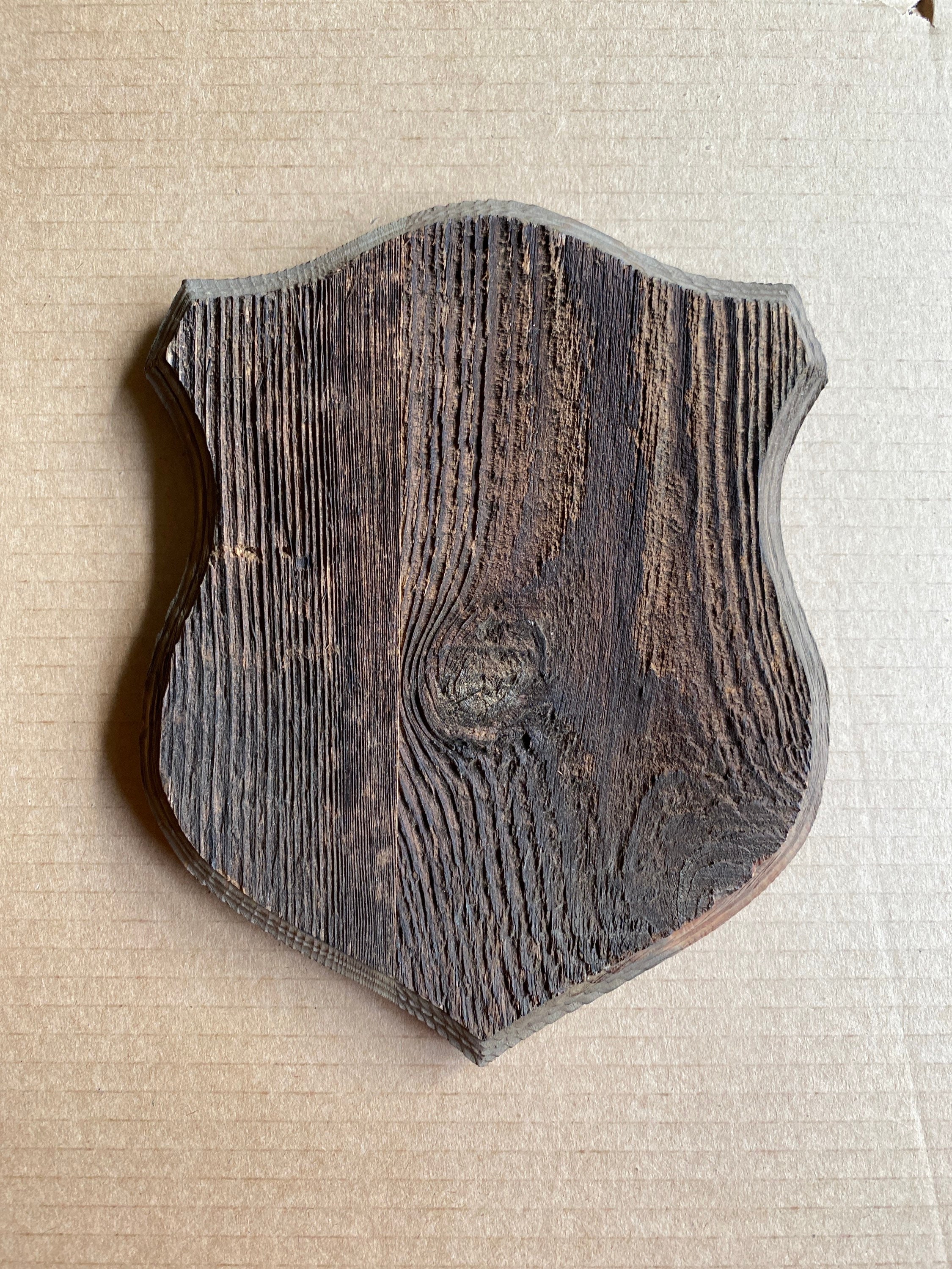 7” X 9” Shield/antler Plaque - Etsy