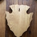 8” X 10” Arrowhead Antler Plaque - Etsy