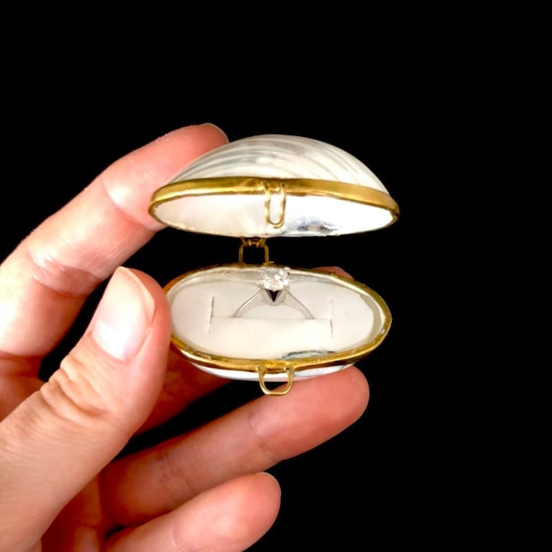 Small Sea Shell Jewelry Box - Etsy