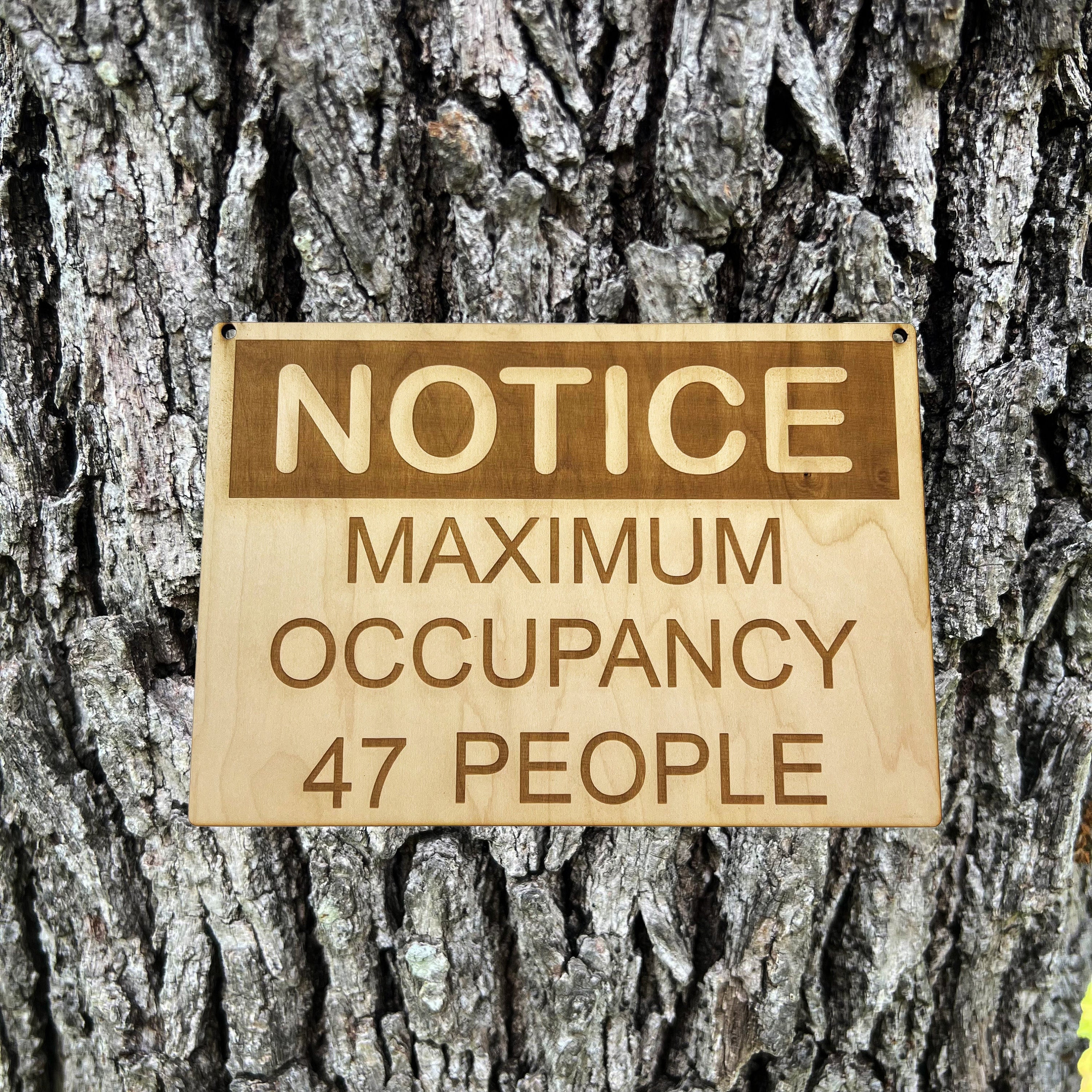 Maximum Occupancy Signs California