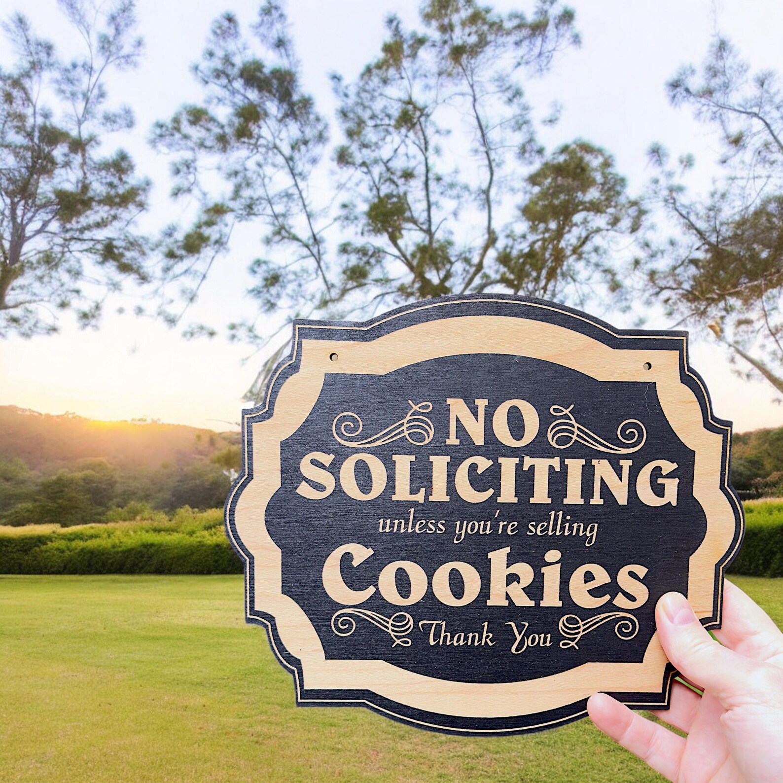 No Soliciting Unless You're Selling Cookies - Black Door Sign 6"x9" - Etsy