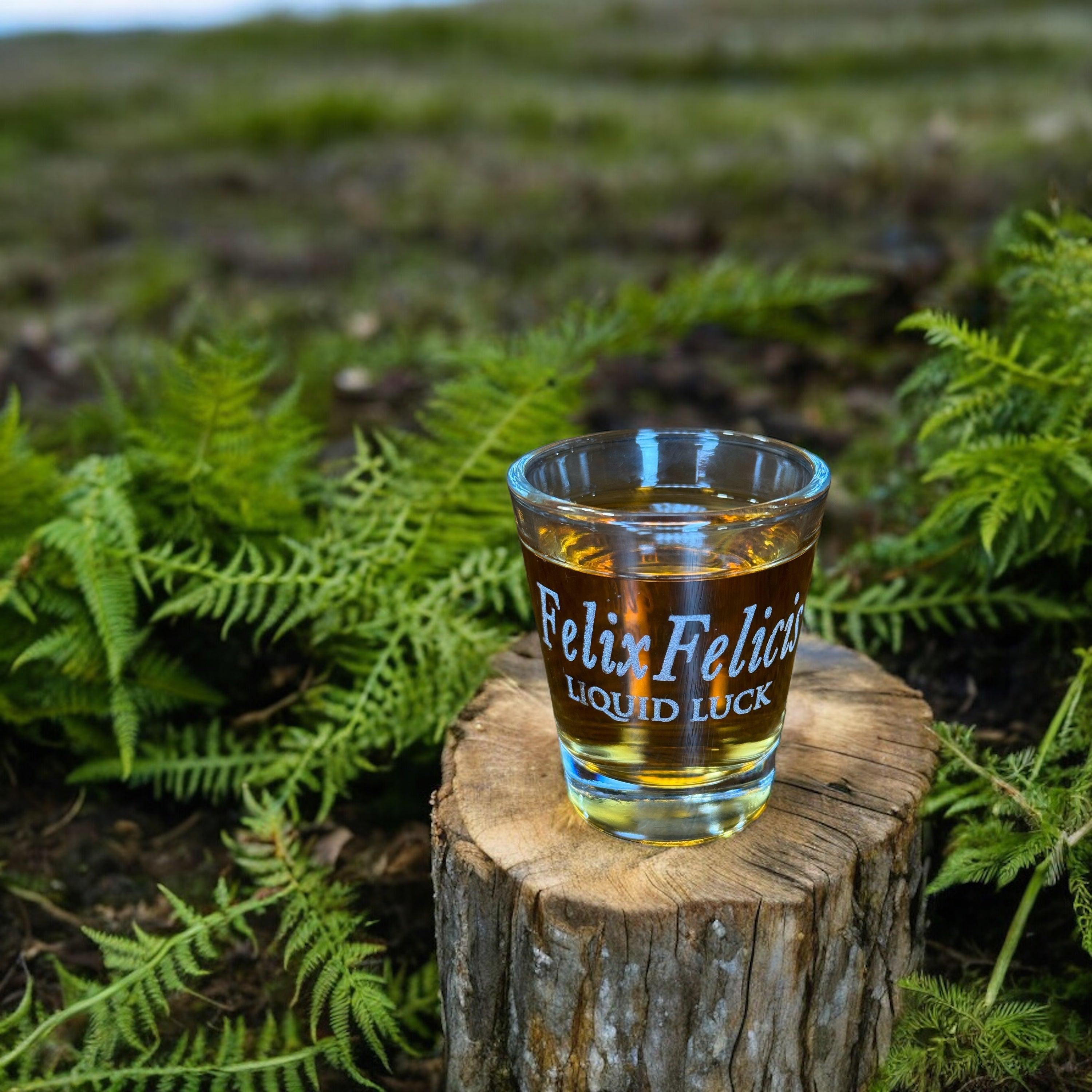 2oz Felix Felicis Liquid Luck Engraved Shot Glass - Etsy