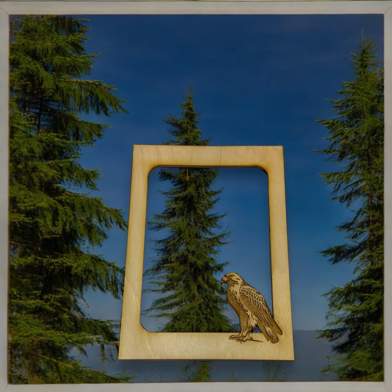 Hawk Eagle Raptor Photo Frame Insert (FRAME NOT INCLUDED) - Etsy