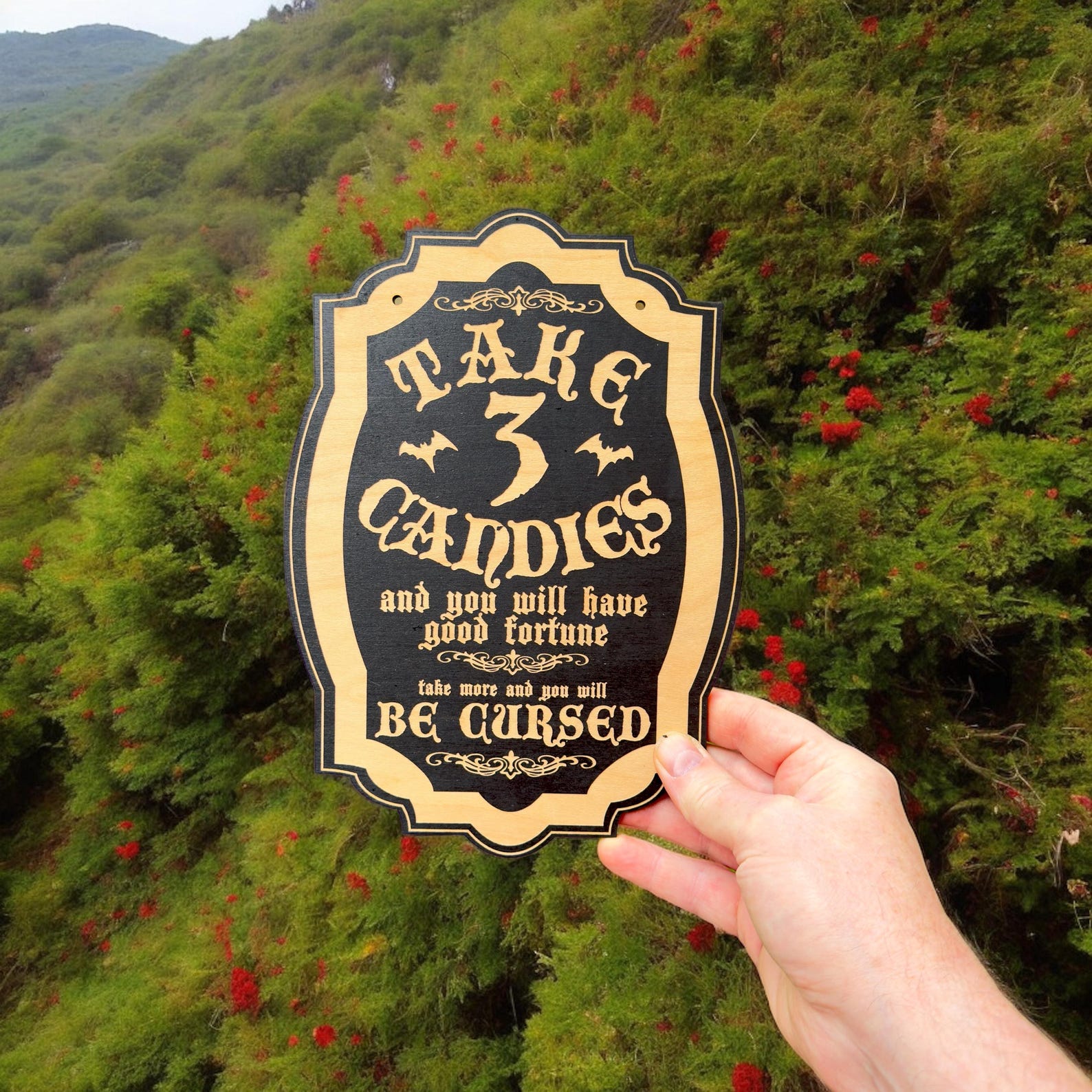 Take 3 Candies or Be Cursed - Black Halloween Door Sign 10x7 - Etsy