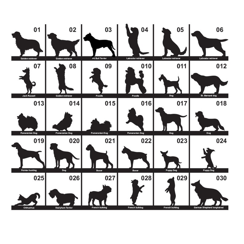 Mr and Mrs Dog Cake Topper With Miniature Dachshundfunny | Etsy