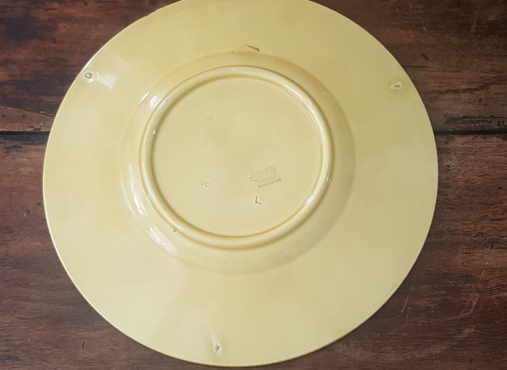 Vintage Plate Raised Ceramic Majolica From Germany- Grape Vine Pattern ...