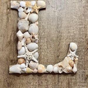 Shell Letters-beach Decor-custom Monograms-shell Name-coastal - Etsy