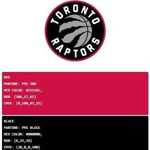 Toronto Raptors - 2019 NBA Championship - Toronto Star Newspaper - "we ...