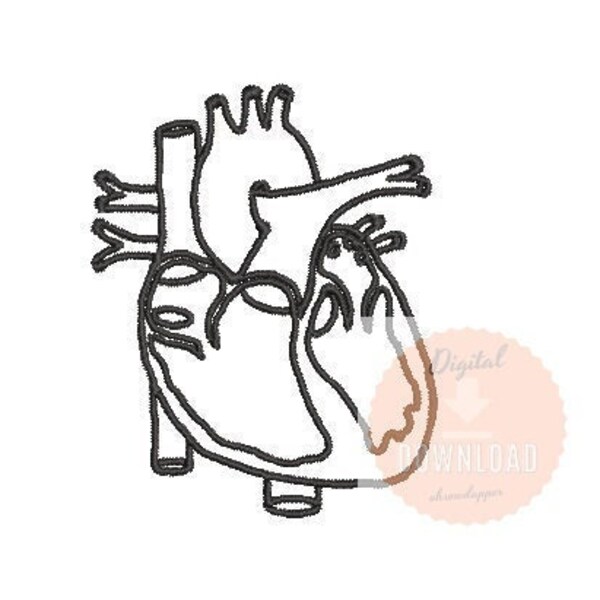 Embroidery Anatomy - Etsy