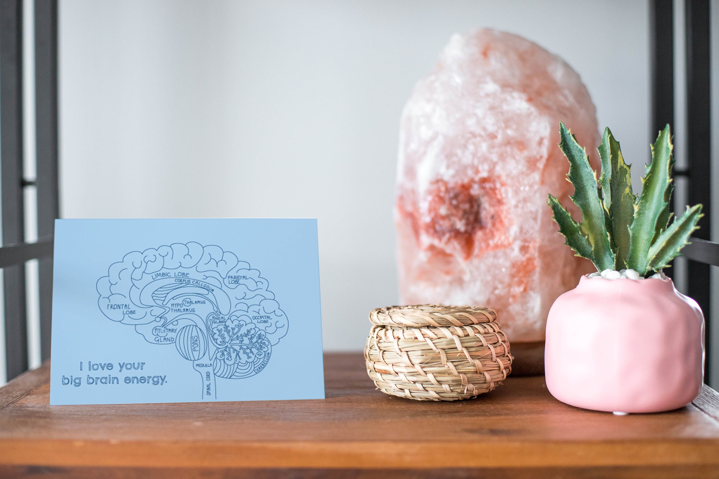 Brain Anatomy Greeting Cards A7 Birthday, Thank You, Celebration ...