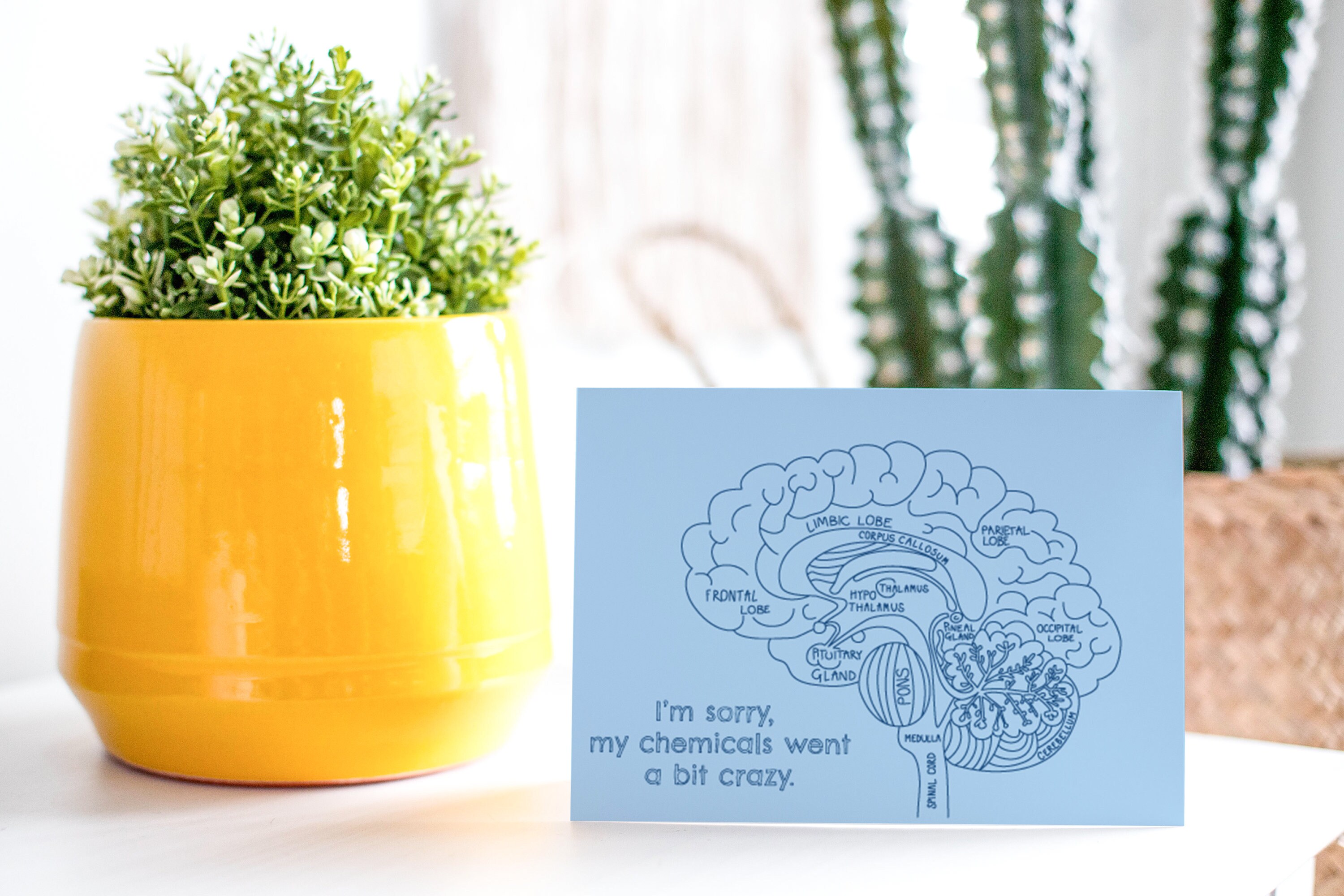 Brain Anatomy Greeting Cards A7 Birthday, Thank You, Celebration ...