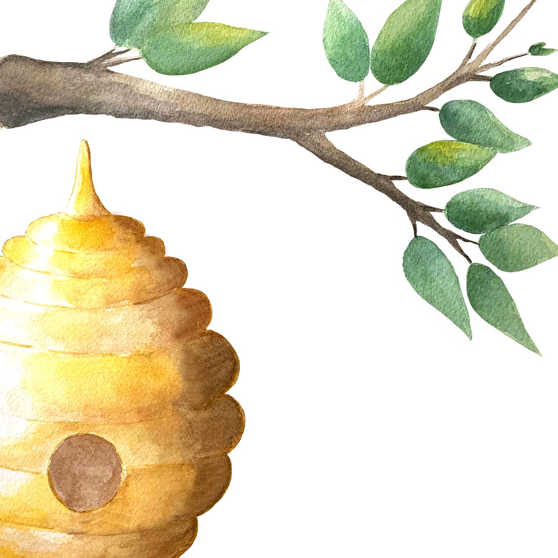 Honey Clipart Watercolor Bee Clipart Watercolor Clipart Bee - Etsy