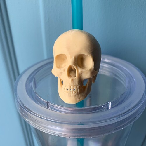 Crystal Rhinestone Skull // Skull Decor | Etsy