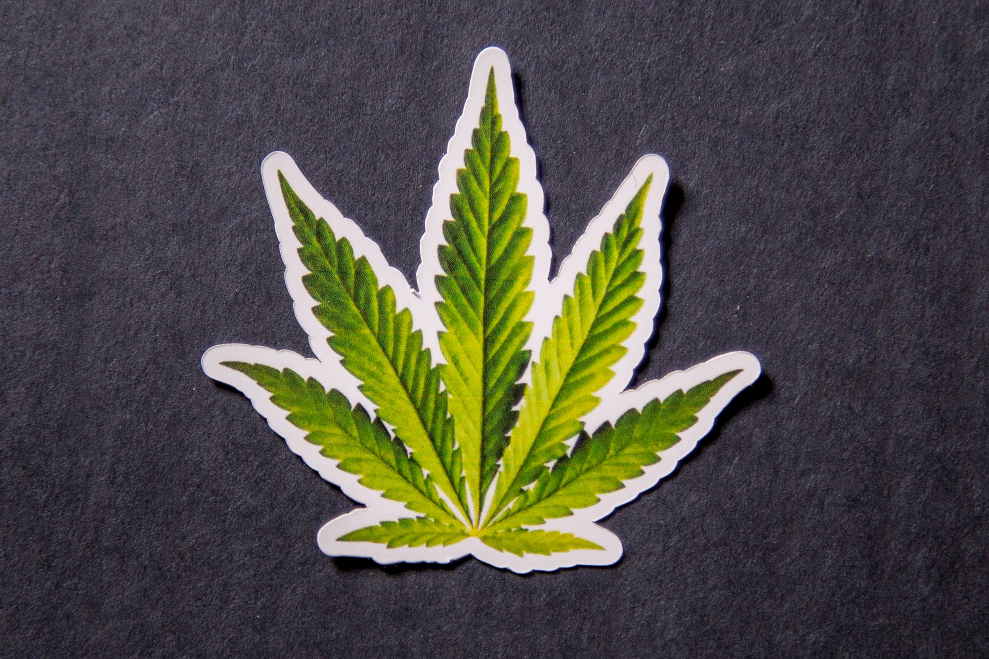 Pot Leaf Vinyl Sticker - Etsy