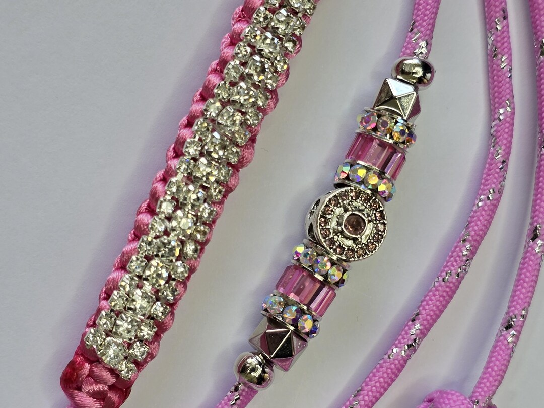 Bling Kindness Collar All in One Lead. for All Breeds - Etsy