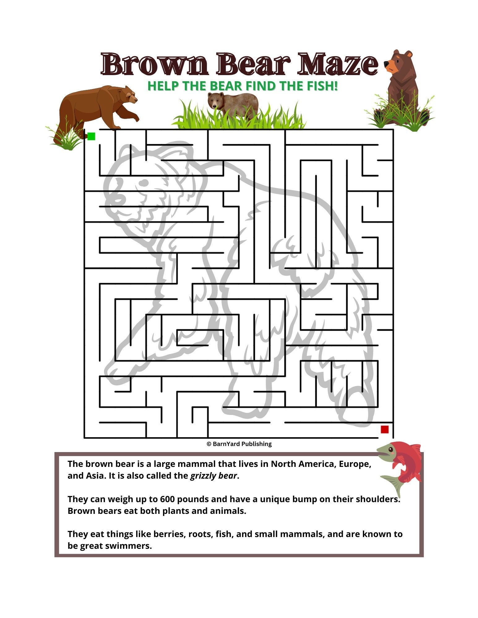 Printable Brown Bear Maze (difficulty: Regular) - 1 Page in Color, 1 ...