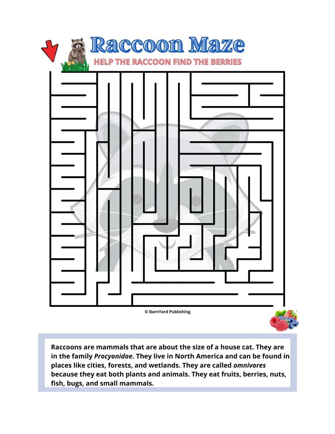 Printable Raccoon Maze ('easy') - 1 Page in Color, 1 Page B&W, 1 Answer ...