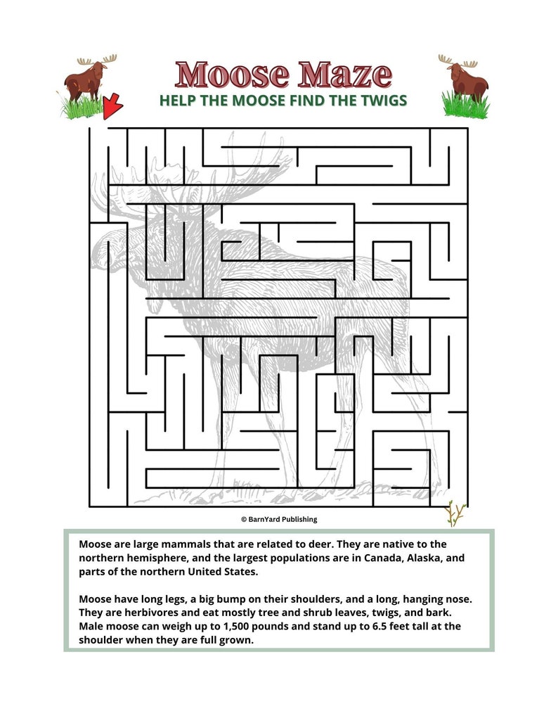 Printable Moose Maze (difficulty: Regular) - 1 Page in Color, 1 Page B ...