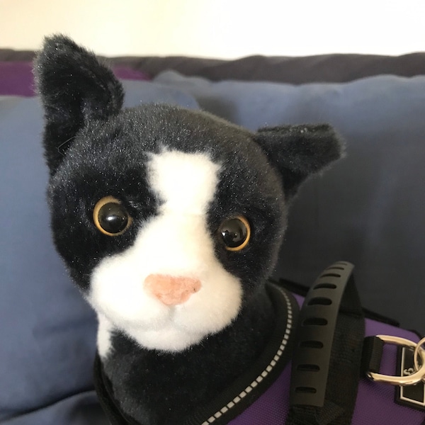 Plush Tuxedo Cat - Etsy