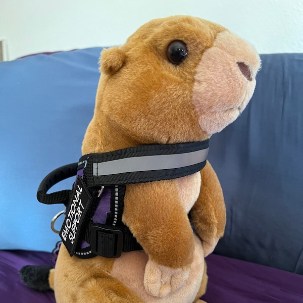 Essa Dog Plush With Gear - Etsy