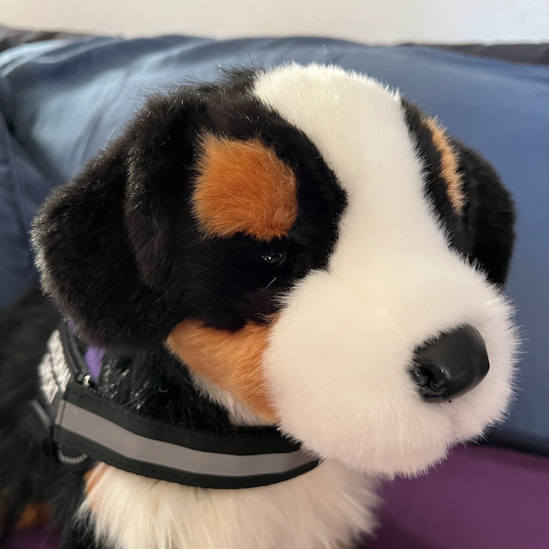 Essa Dog Plush - Etsy