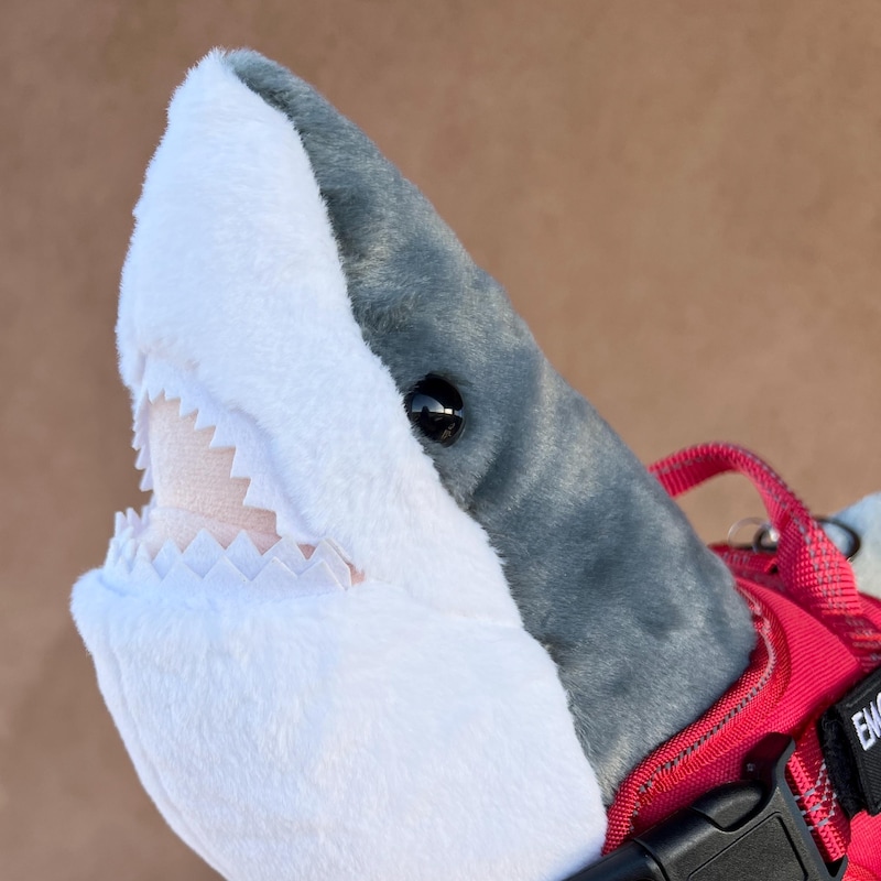 Blahaj Shark Plush - Etsy
