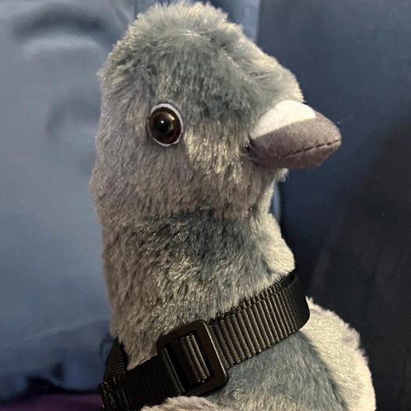 Pigeon Stuffed Animal - Etsy