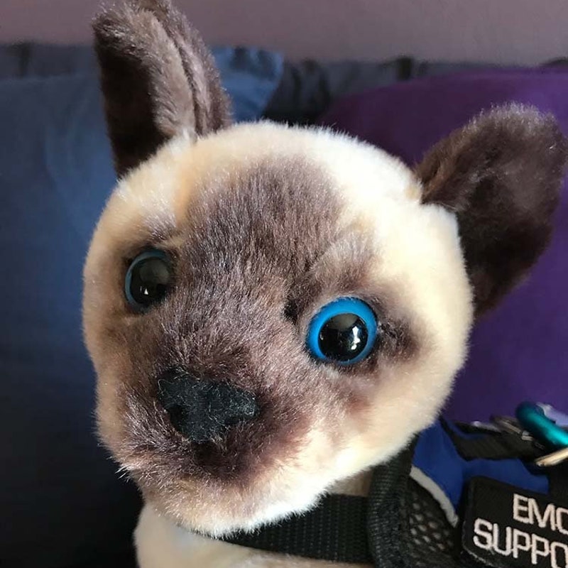 Siamese Plush - Etsy