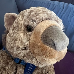 Emotional Support Wombat Plush Stuffed Animal Personalized Gift Toy - Etsy