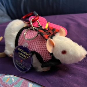 ESSA White Rat Emotional Support Plush Stuffed Animal Personalized Gift ...
