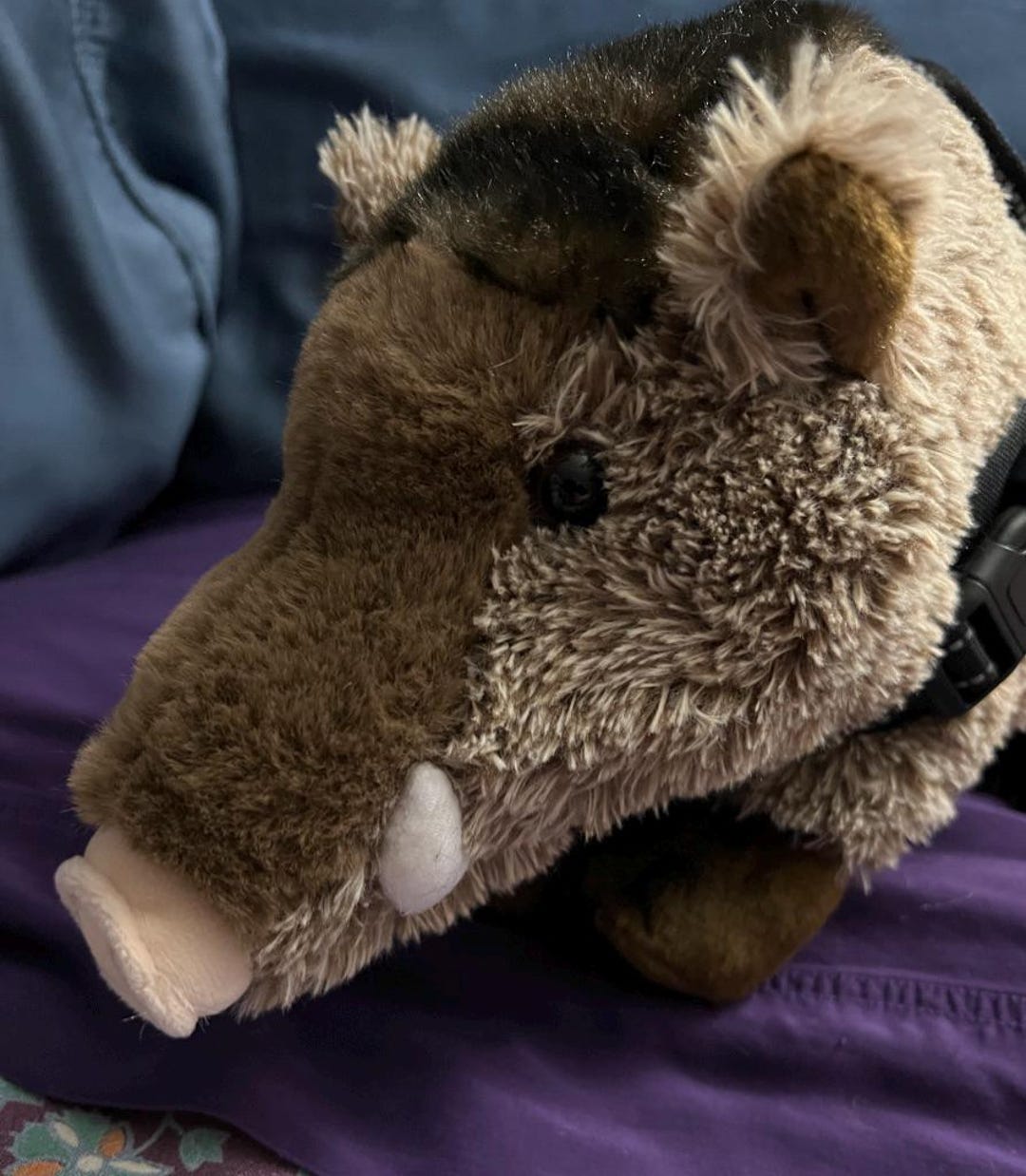 Emotional Support Warthog Pig Plush Stuffed Animal Personalized Gift ...