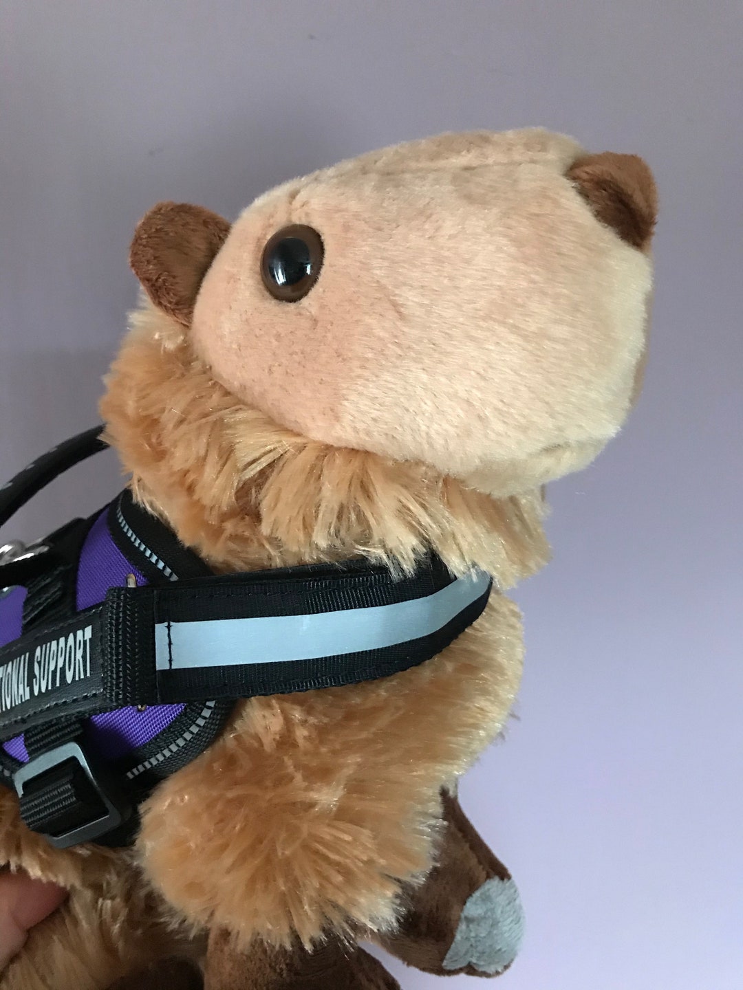 Emotional Support Capybara Plush Stuffed Animal Personalized Gift Toy ...