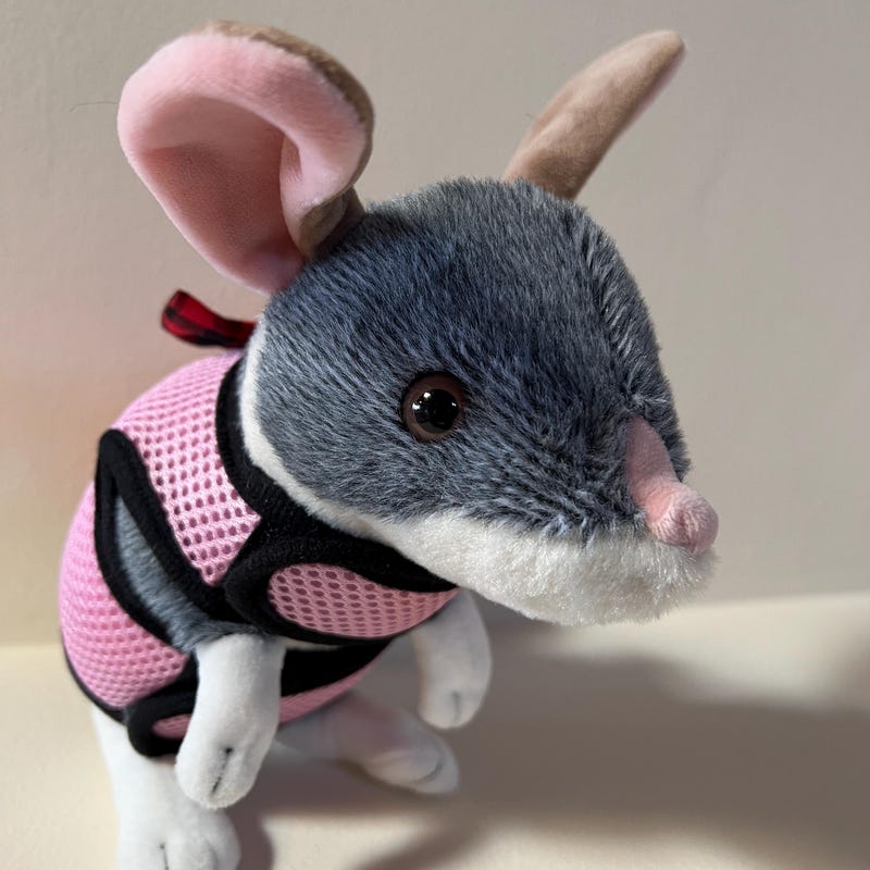 Cheap Essa Plush - Etsy