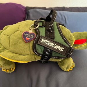 Emotional Support Green Red Eared Slider Turtle Plush Stuffed Animal ...