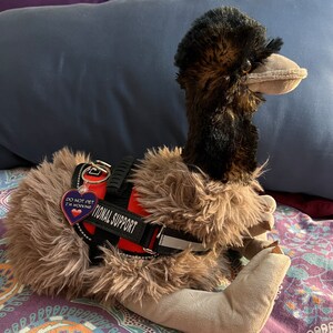 Emotional Support Emu Bird Plush Stuffed Animal Personalized Gift Toy ...