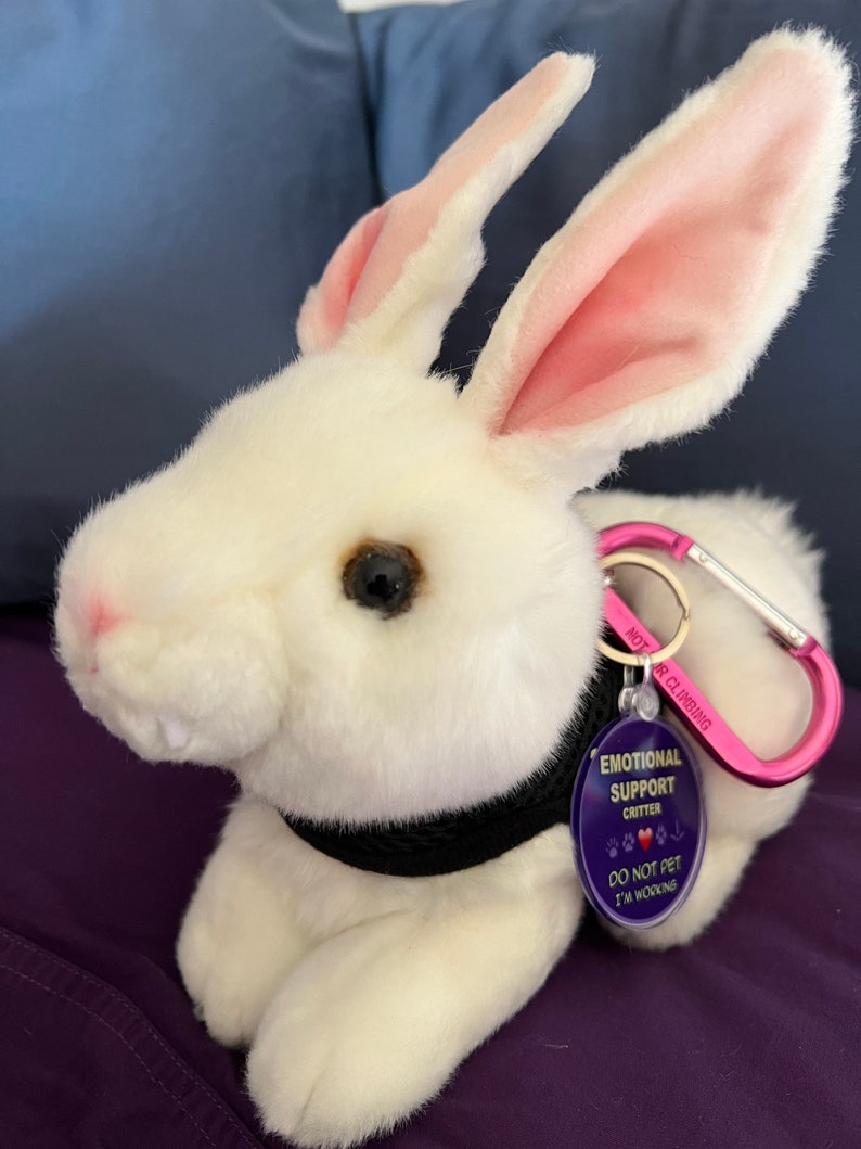 Emotional Support Killer White Bunny Rabbit of Caerbannog - Etsy