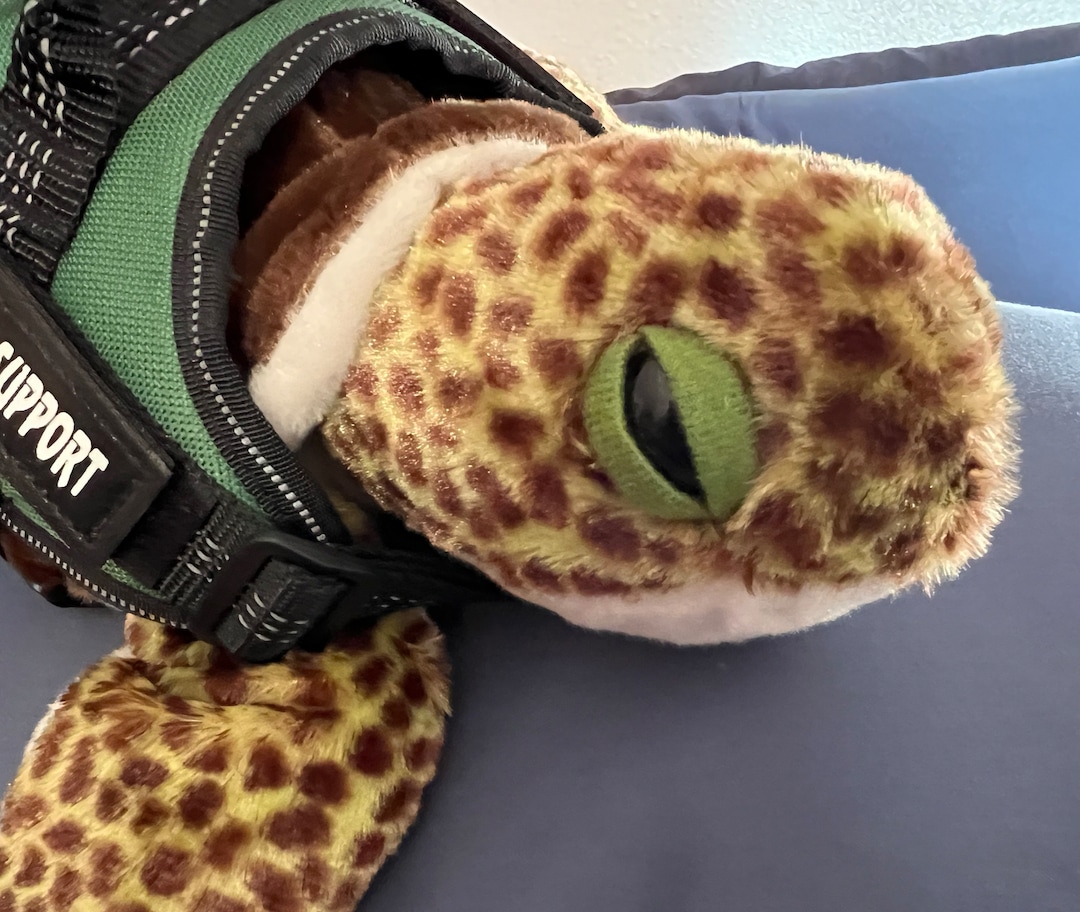 ESSA Green Sea Turtle Emotional Support Plush Stuffed Animal ...
