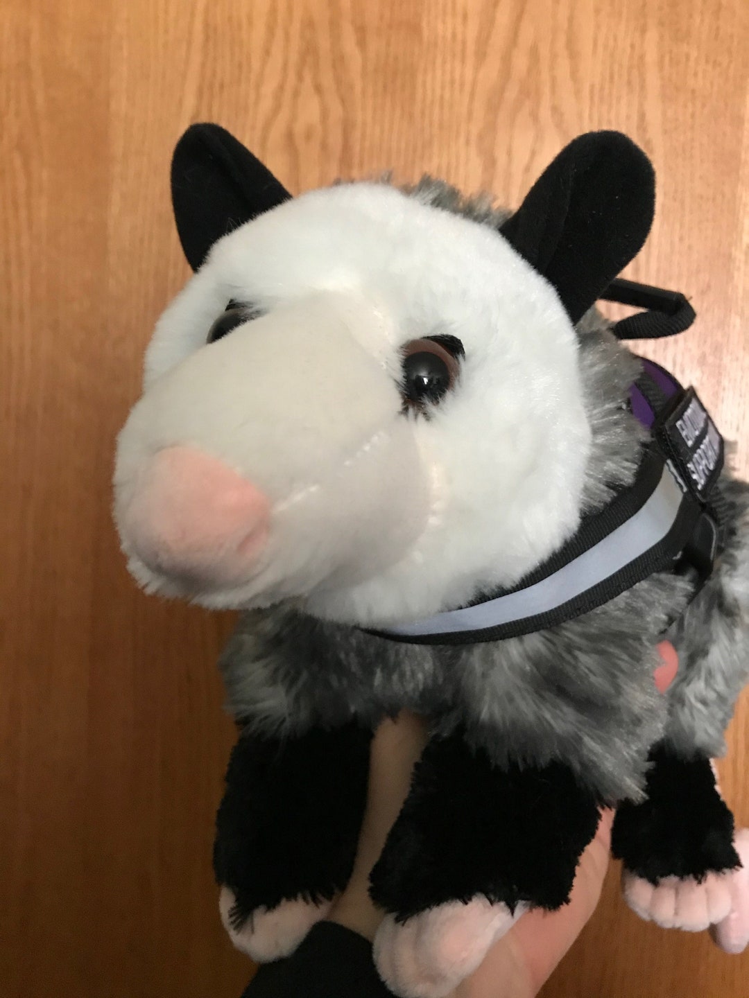 ESSA Opossum Possum Emotional Support Plush Stuffed Animal Personalized ...
