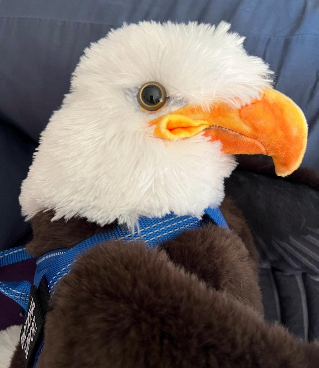 ESSA Bald Eagle Emotional Support Plush Stuffed Animal Personalized ...