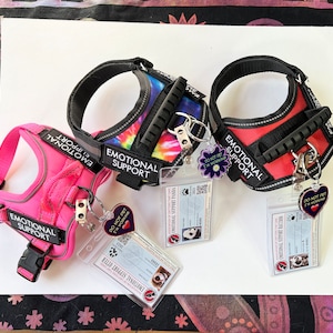 ESSA Harness With Handle Emotional Support Plush Make Your Own Stuffed ...