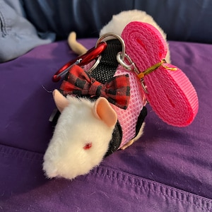 ESSA White Rat Emotional Support Plush Stuffed Animal Personalized Gift Toy - Etsy