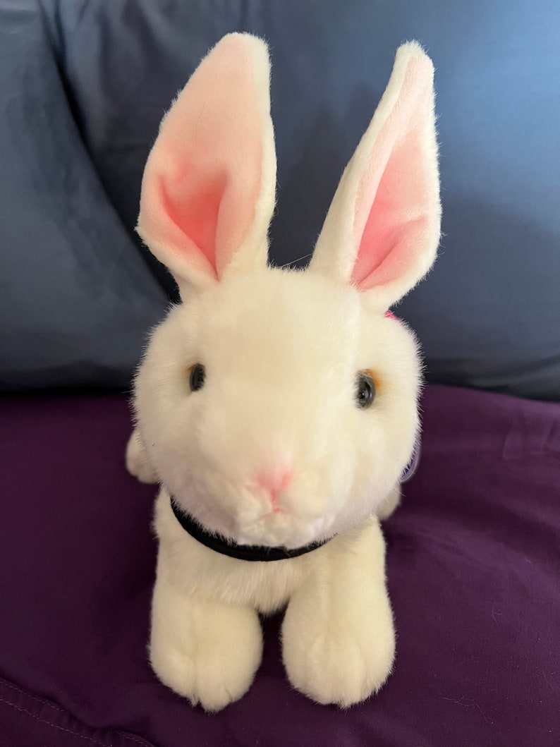 Emotional Support Killer White Bunny Rabbit of Caerbannog - Etsy UK