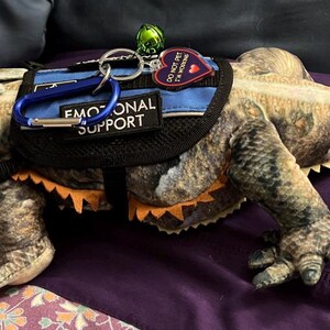 ESSA Horned Lizard Emotional Support Plush Stuffed Animal Personalized ...