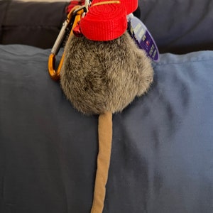 ESSA Rat Grey Emotional Support Plush Stuffed Animal Personalized Gift ...