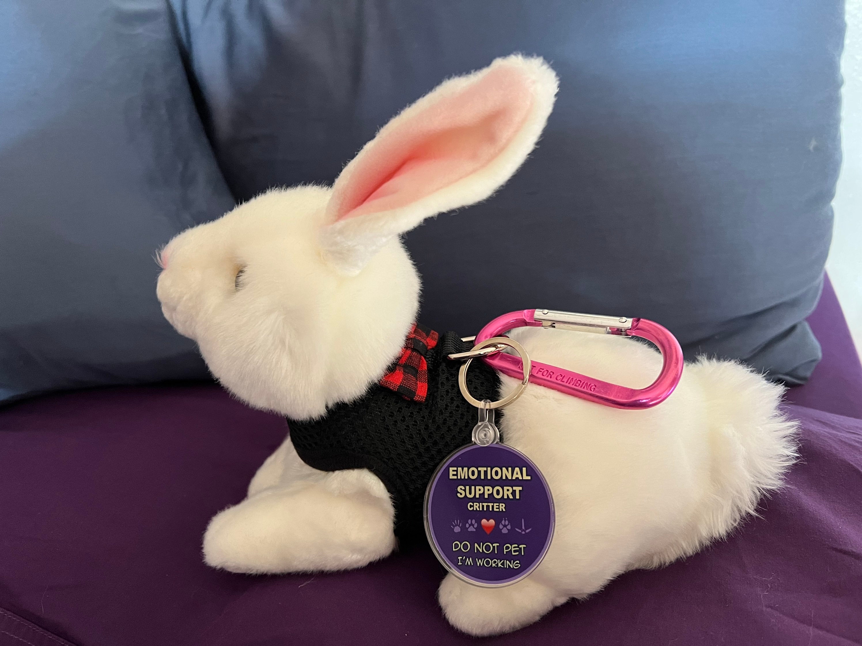 Emotional Support Killer White Bunny Rabbit of Caerbannog - Etsy UK