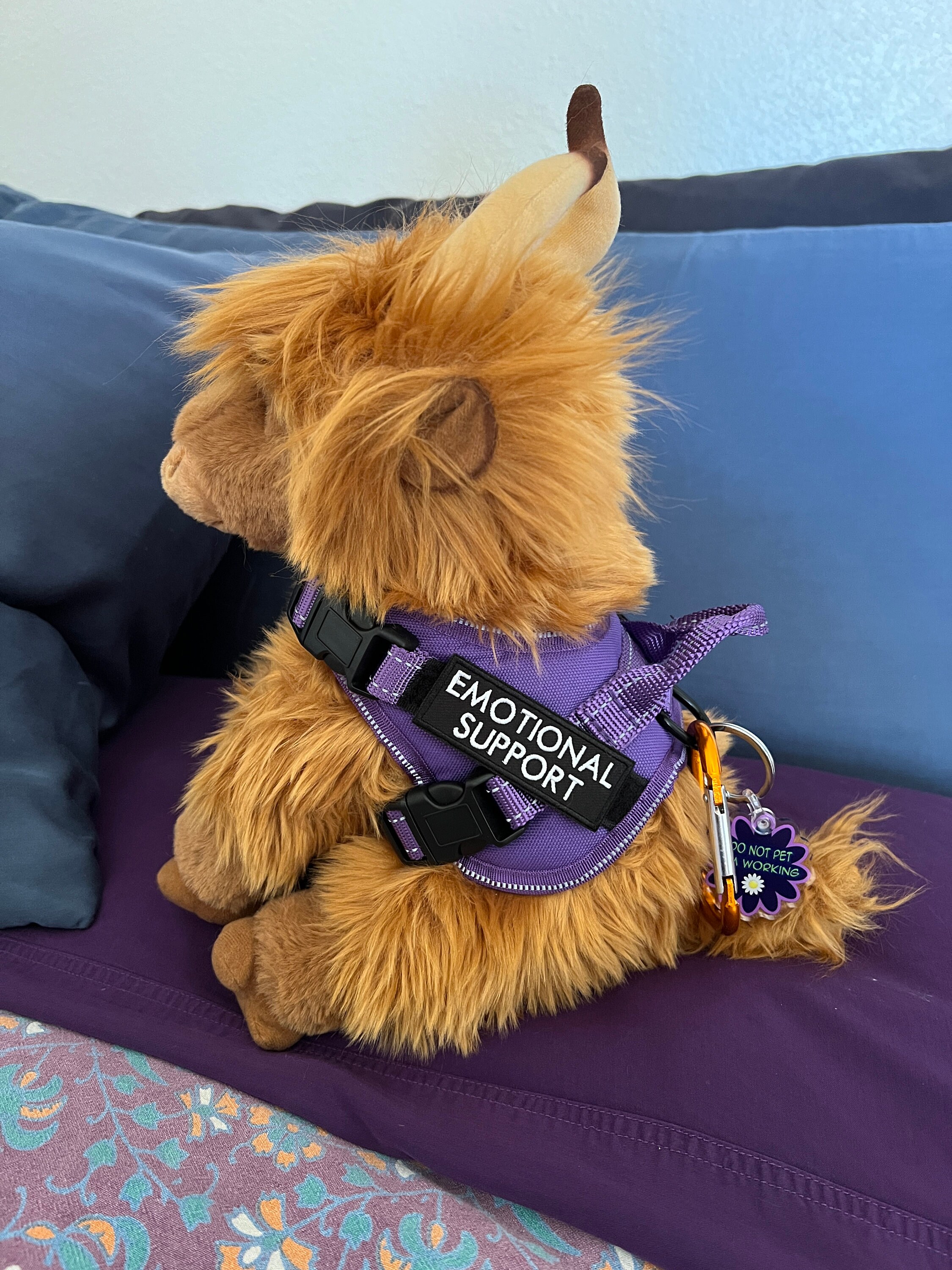 ESSA Highland Cow Emotional Support Plush Stuffed Animal Personalized ...