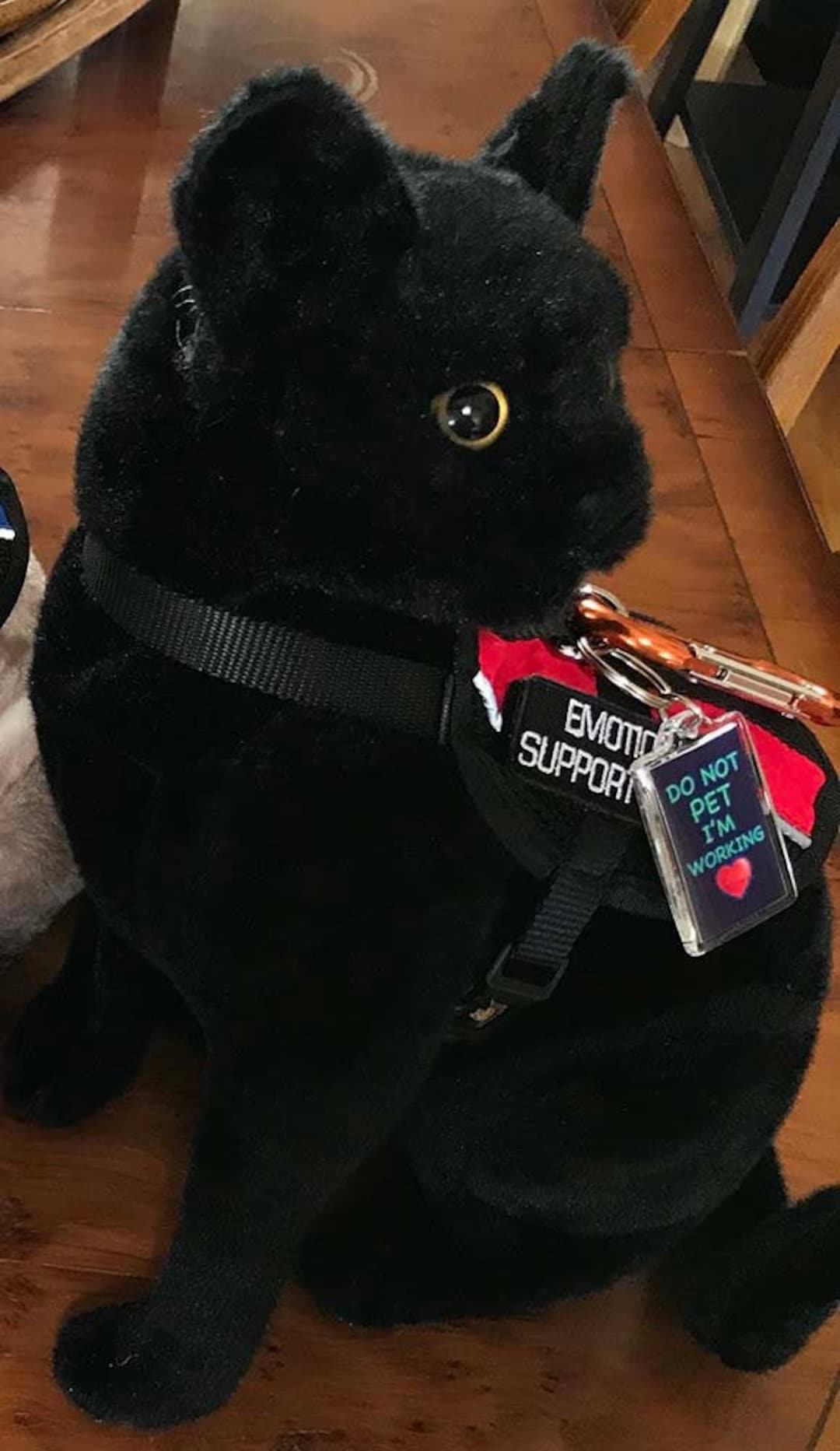 ESSA Black Cat Halloween Spooky Emotional Support Plush Stuffed Animal ...