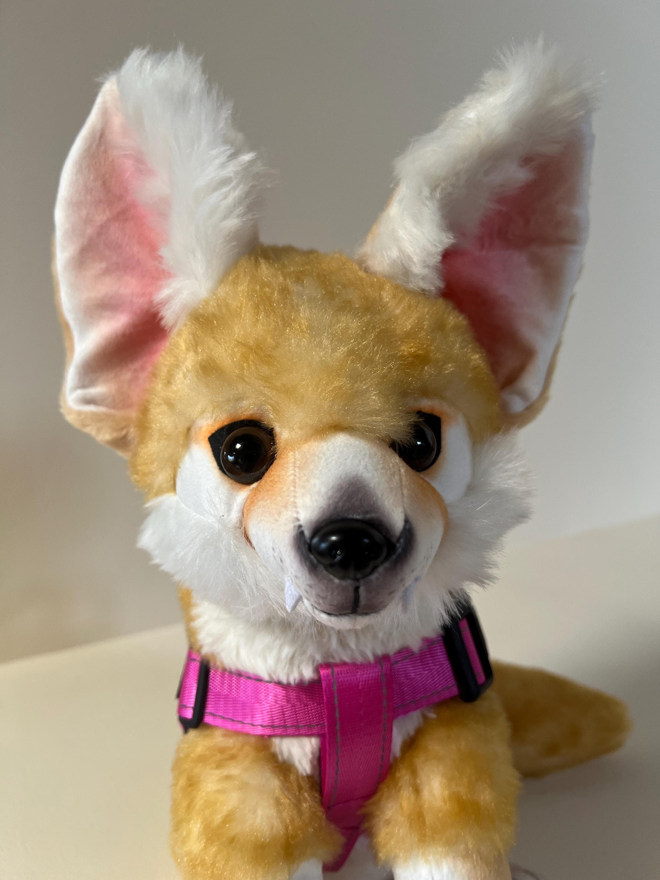 ESSA Big Fennec Fox Emotional Support Plush Stuffed Animal Personalized ...