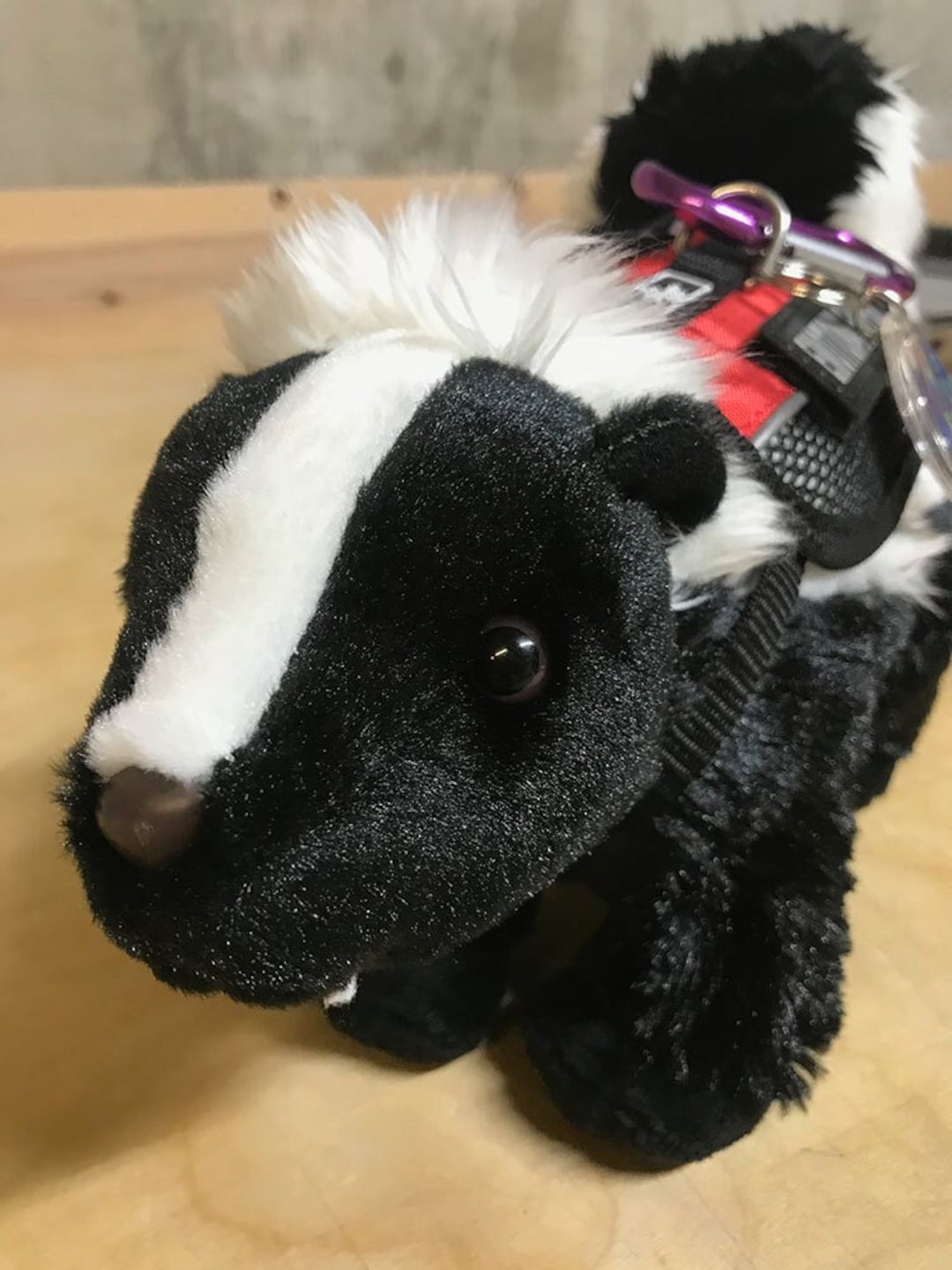 Emotional Support Skunk Plush ESSA Stuffed Animal Personalized Gift Toy - Etsy
